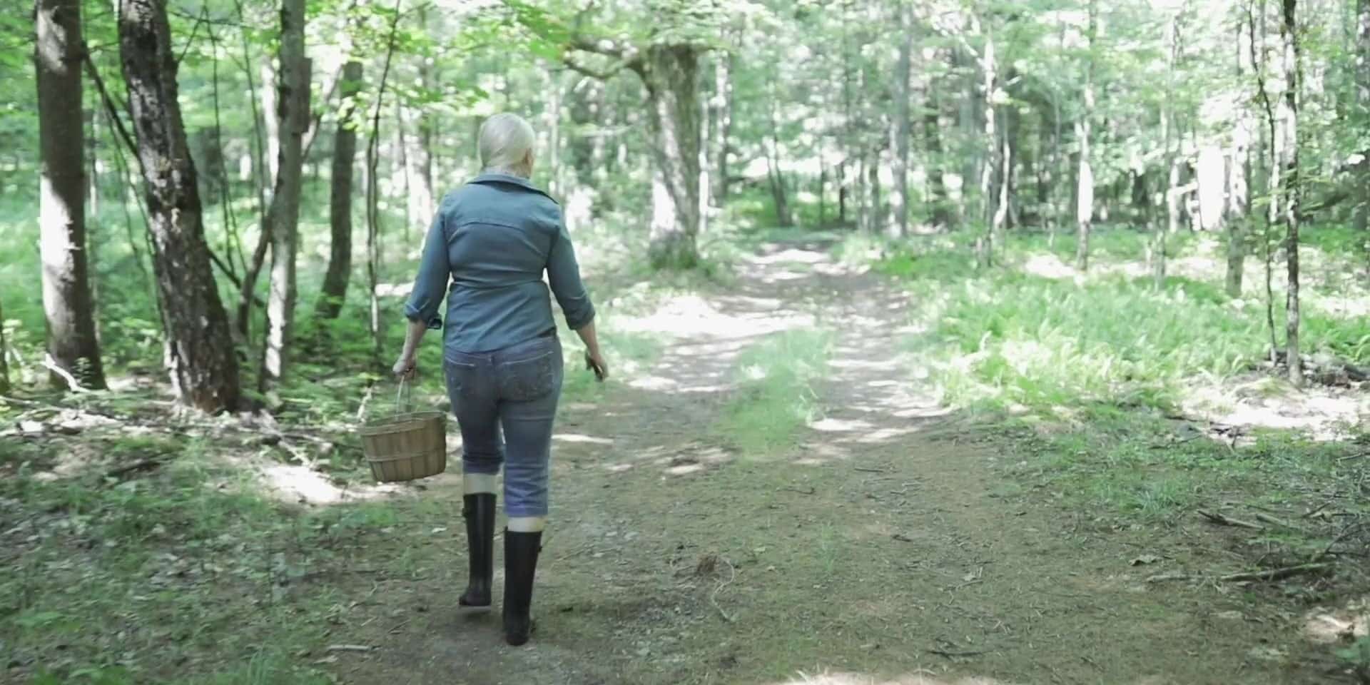 Hiking Mount Haystack: A Challenging Trek to One of the Adirondacks' T